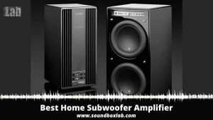 Best Home Subwoofer Amplifier: Guide To Choosing Mini Amp/Amp Plate ...